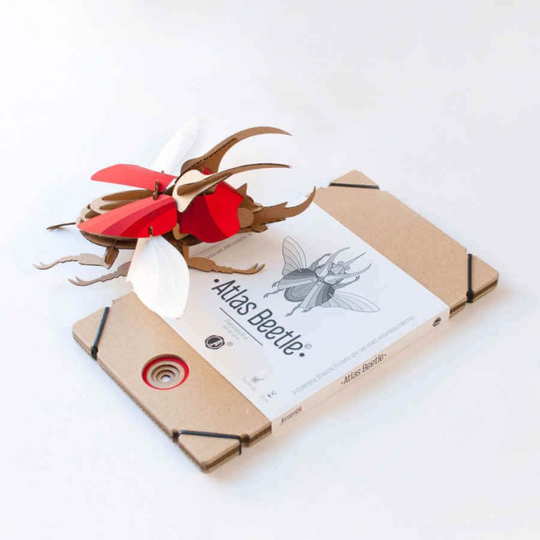 Insectos de papel para armar, siguiendo simples instrucciones